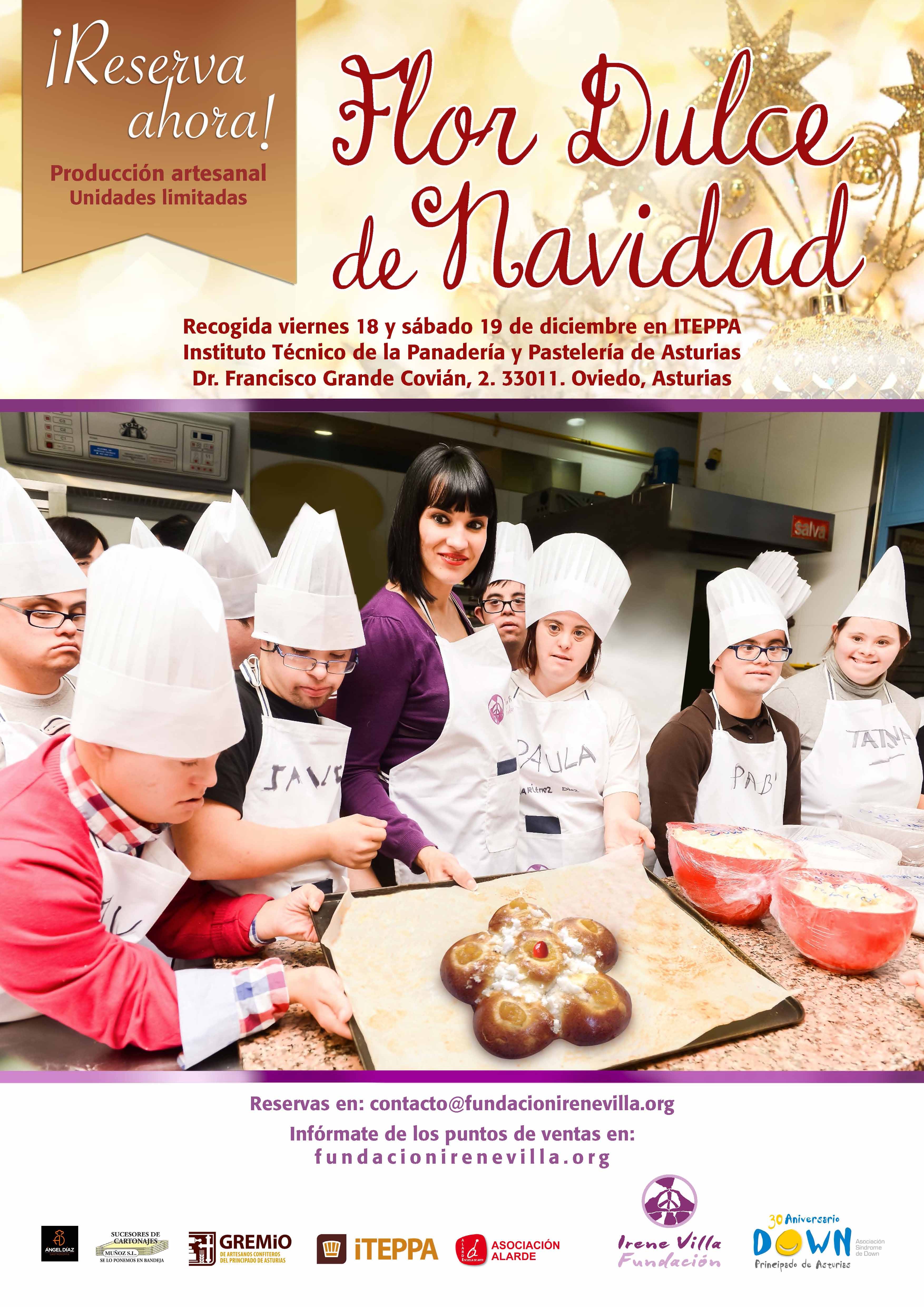 flor de navidad cartel asturias – Down Principado de Asturias